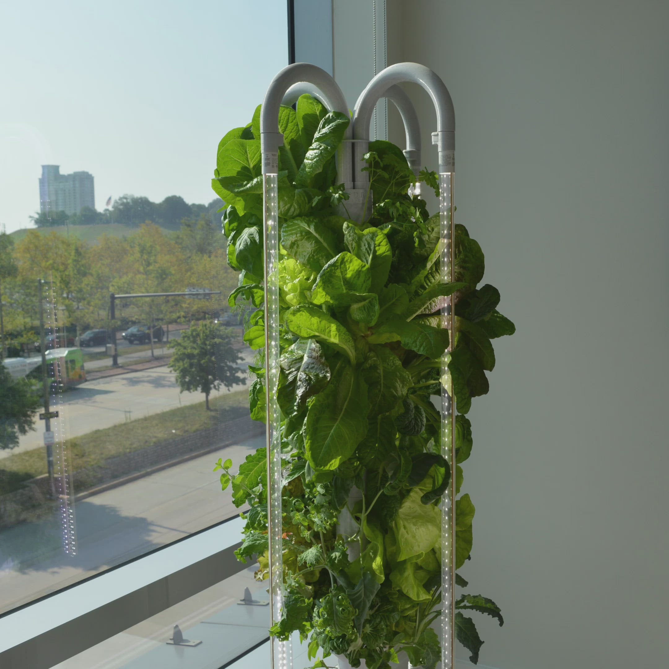 The Hydro Tower- Creatively designed hydroponic gardening towers.