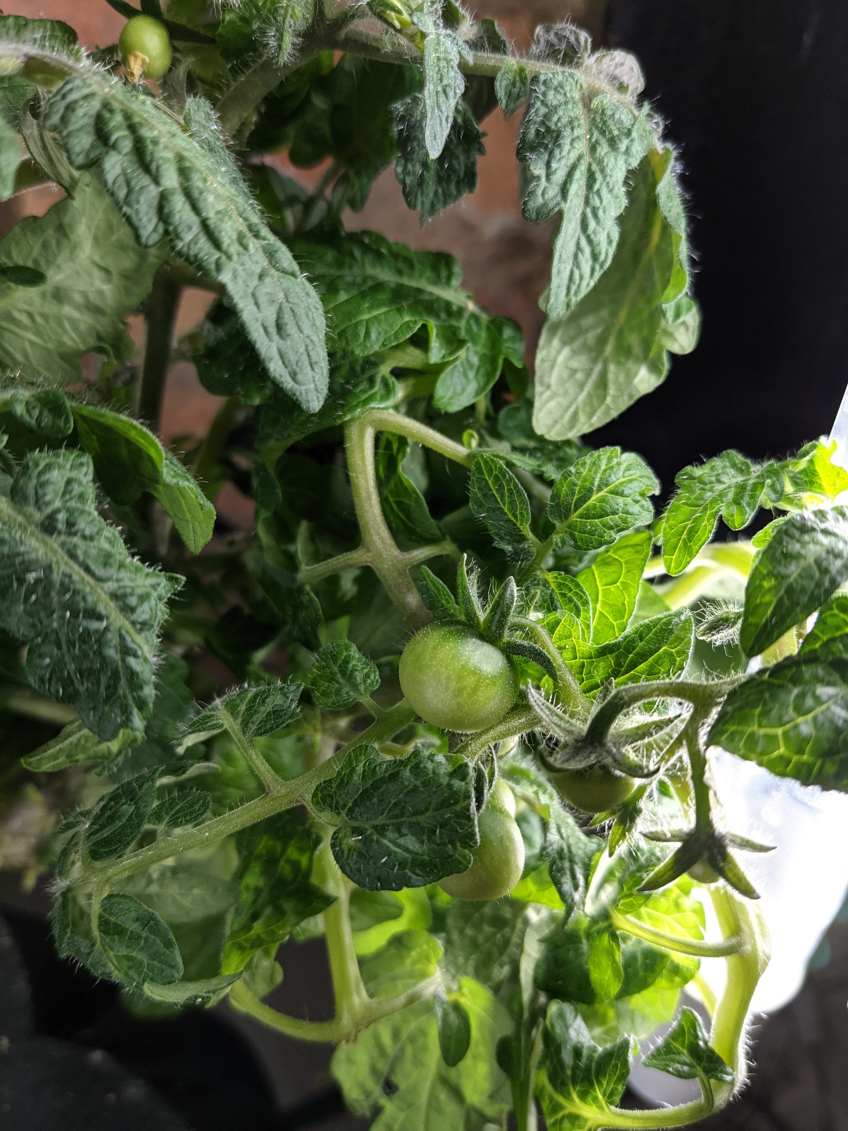 Hydroponic Designs- Creatively designed hydroponic gardening towers ...